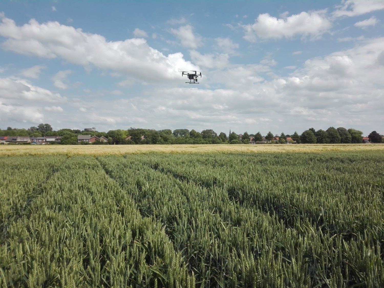 How Aphea.Bio is using drones to evaluate biostimulants